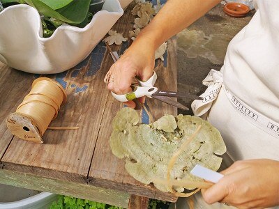A Gardener's Secrets to DIY Planters