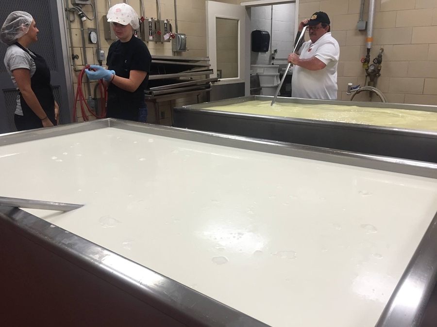 Clemson Makes What? The History Behind Clemson Blue Cheese