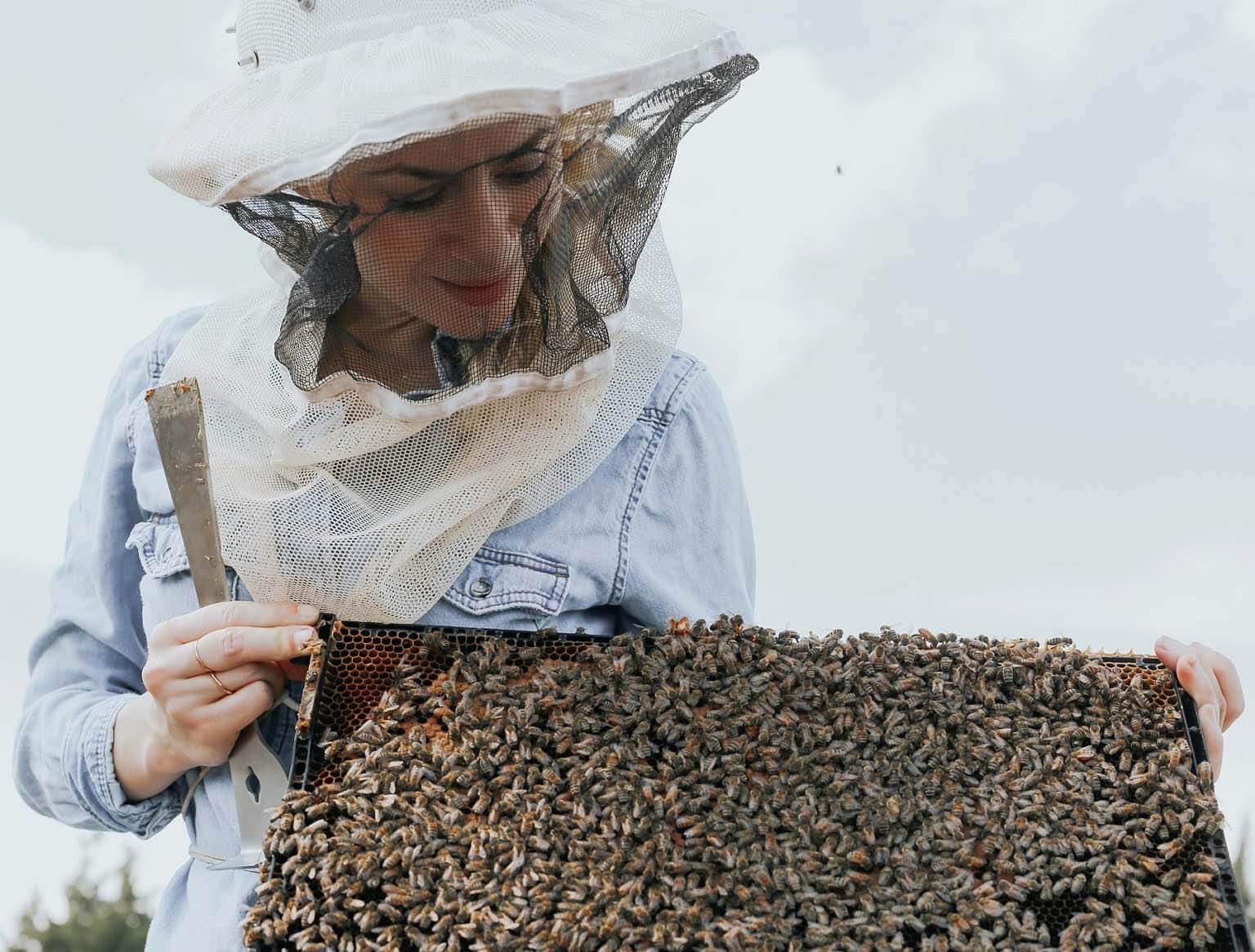 Beekeeping Myths — BUSTED — with Erika Thompson | StyleBlueprint