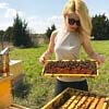 Beekeeping Myths — BUSTED — with Erika Thompson | StyleBlueprint