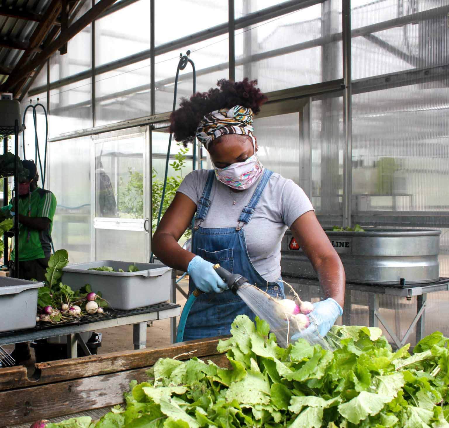 Jones Valley Teaching Farm Changes Lives With Food