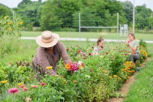 The South’s Newest Luxury Farm Resort: Southall Farm and Inn