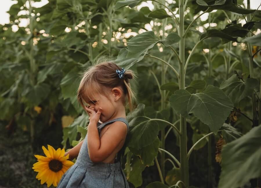 12 Sunflower Fields to Visit This Summer | StyleBlueprint