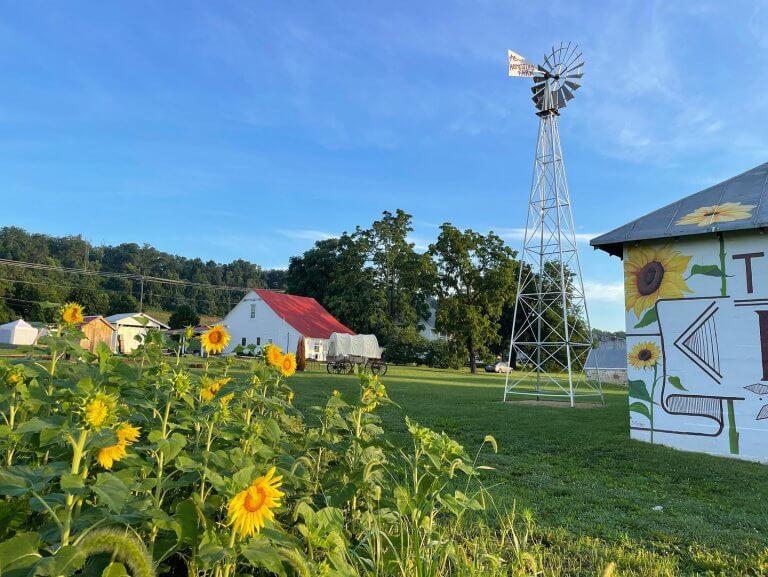 12 Sunflower Fields to Visit This Summer | StyleBlueprint