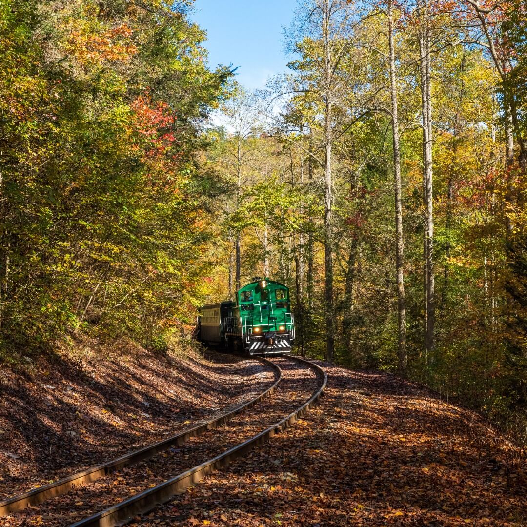 12 Scenic Train Rides in the South