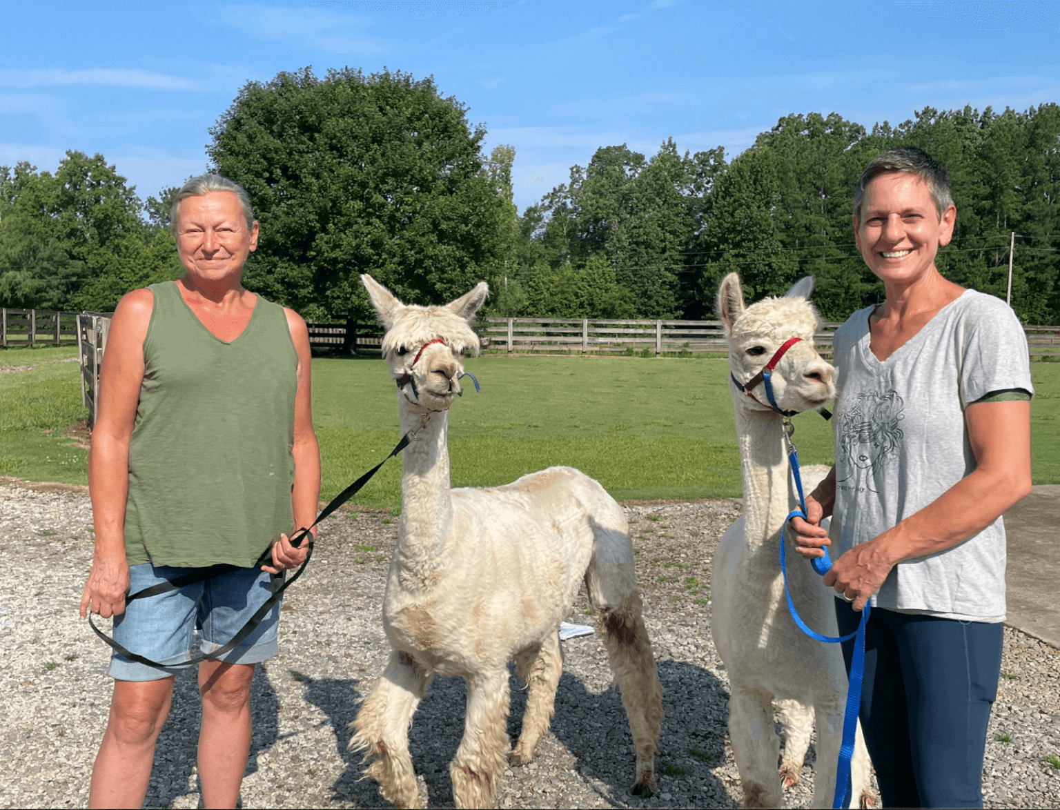 The Heartwarming Story of a Georgia Farm and Its Deaf-Inclusive Mission ...