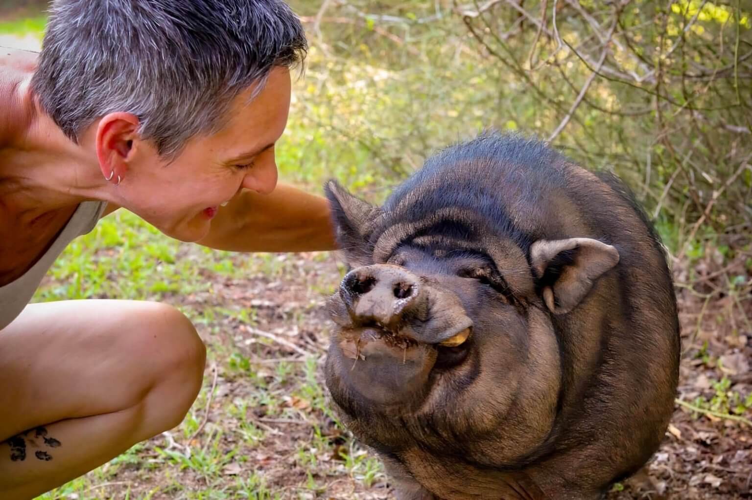 The Heartwarming Story of a Georgia Farm and Its Deaf-Inclusive Mission ...