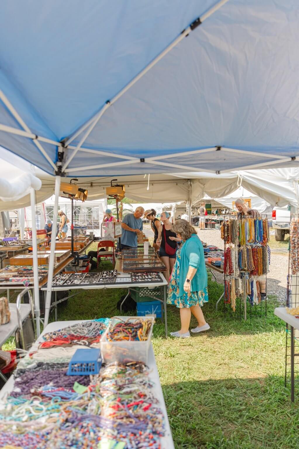 Our 4 Favorite Destinations for Fall in North Carolina