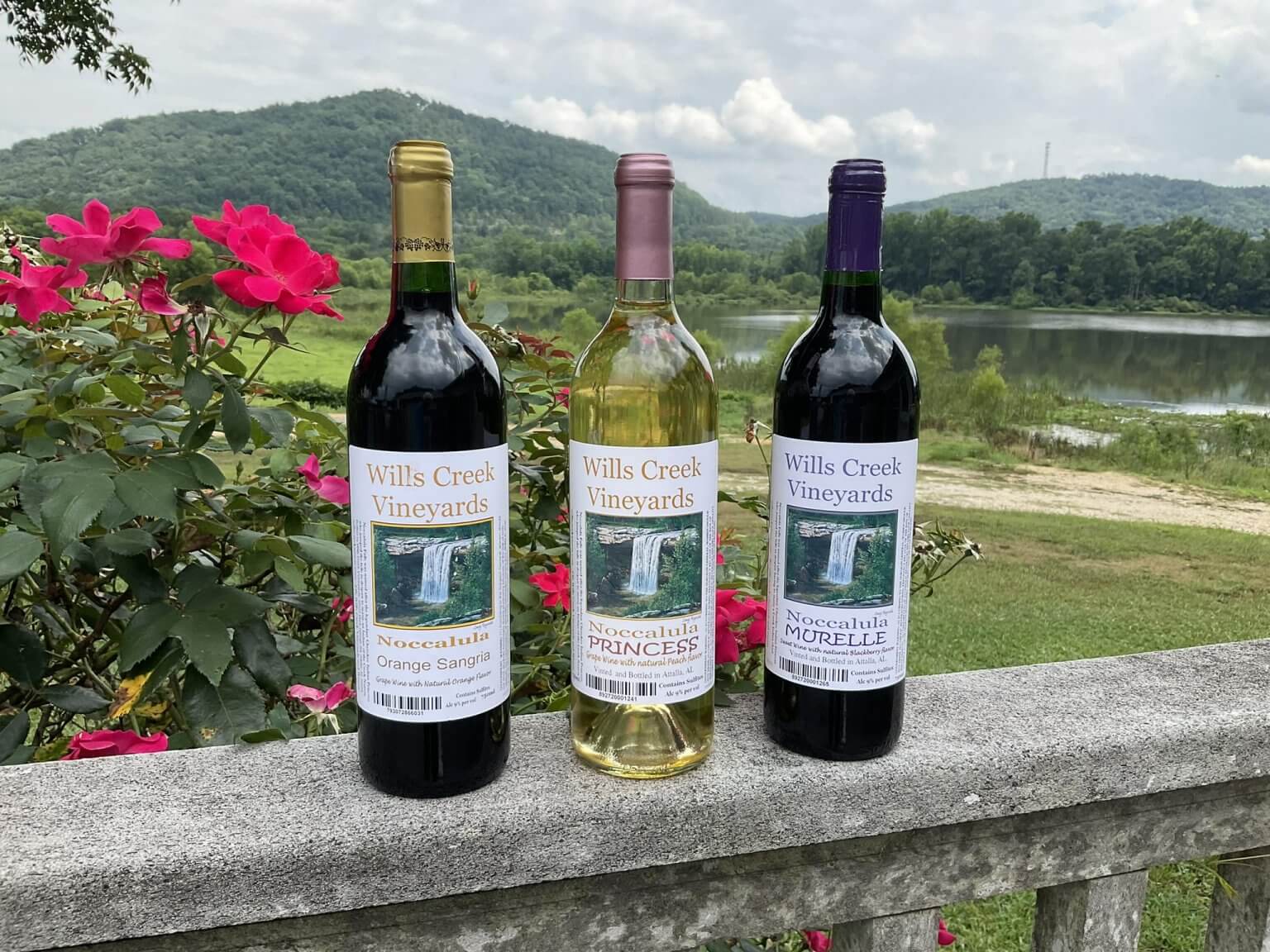 Weekend Getaway: North Alabama Wine Trail | StyleBlueprint