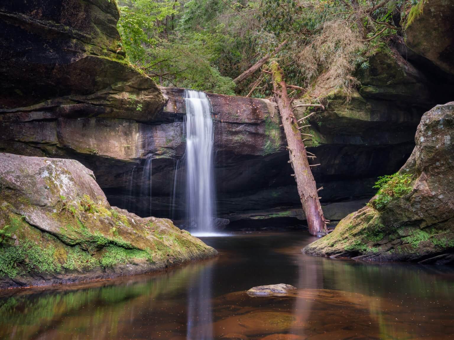 10 Must-Try Kentucky Waterfall Hikes (All Experience Levels!)