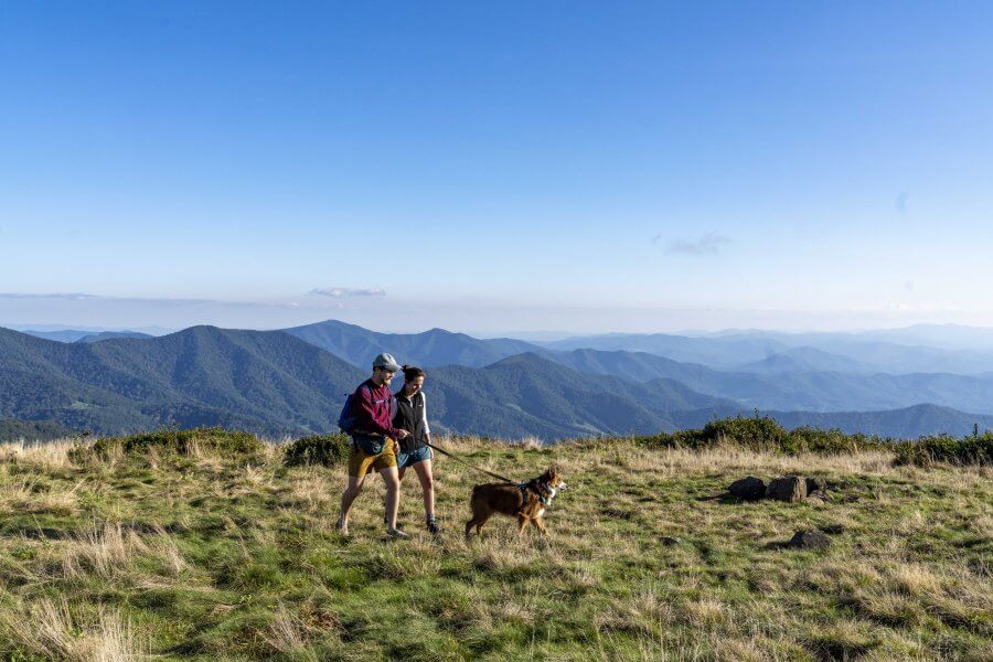What to Do in Tennessee: 6 Fun Summer Escapes