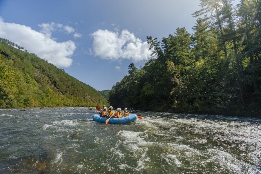 What to Do in Tennessee: 6 Fun Summer Escapes