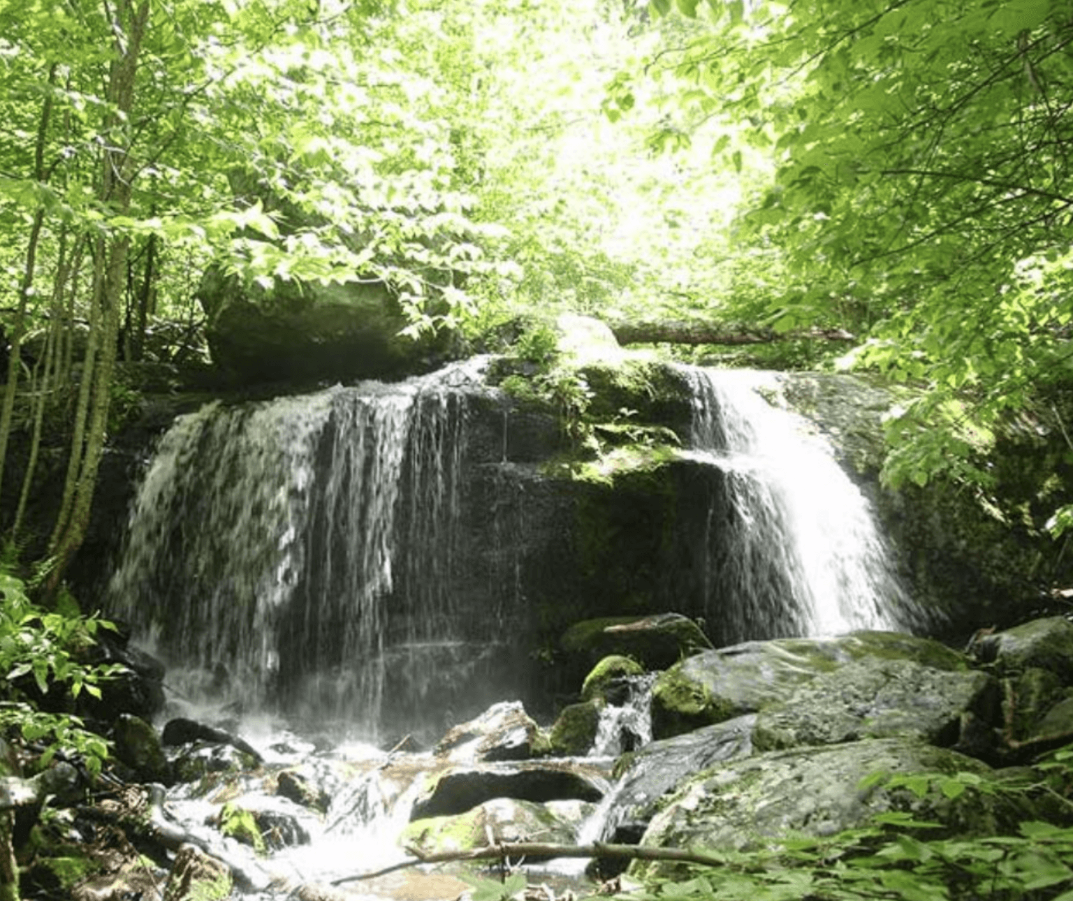 Add These 8 Waterfalls in Virginia to Your Hiking Bucket List!