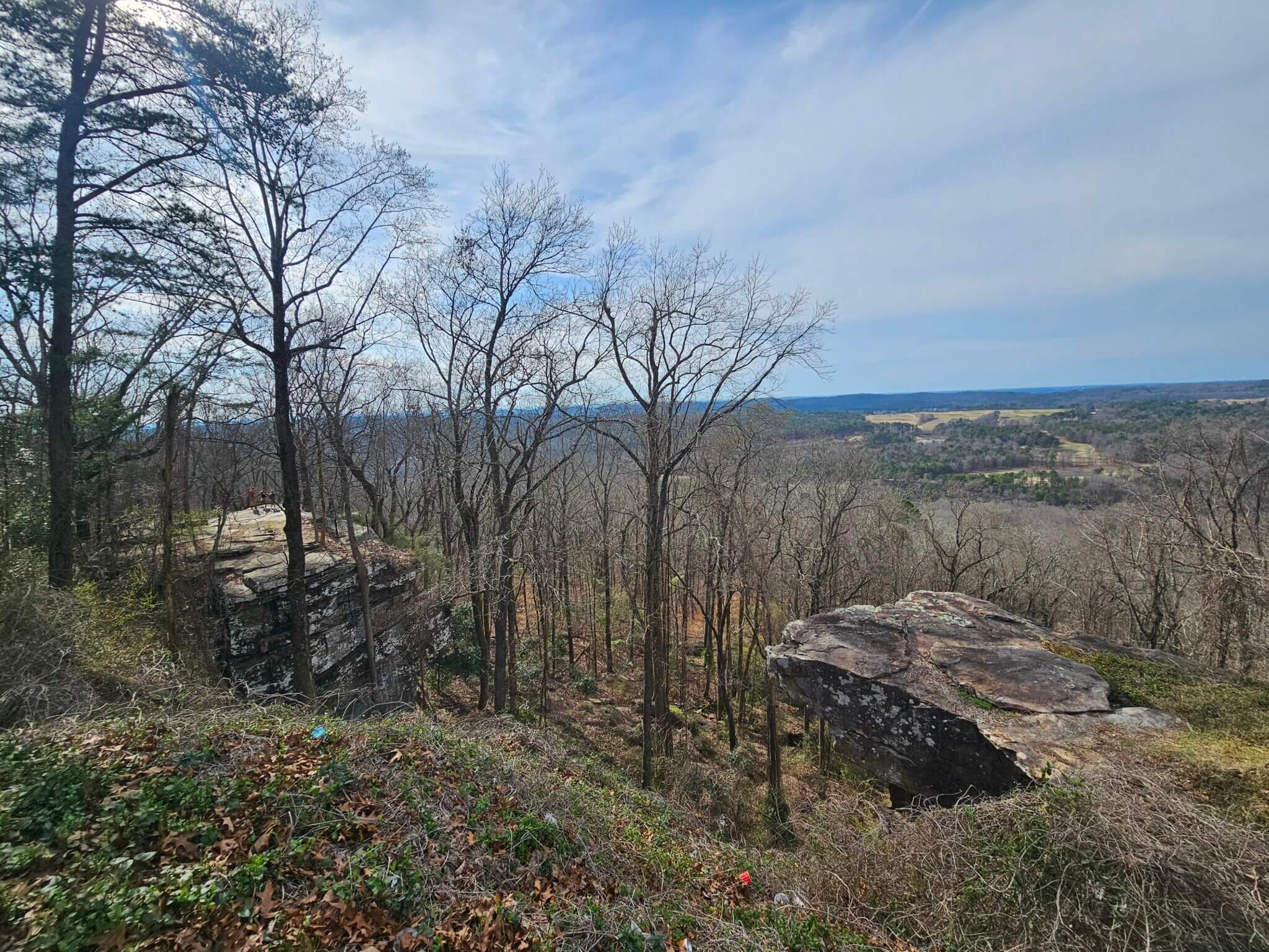 Your Guide to BHAM's Bluff Park | StyleBlueprint
